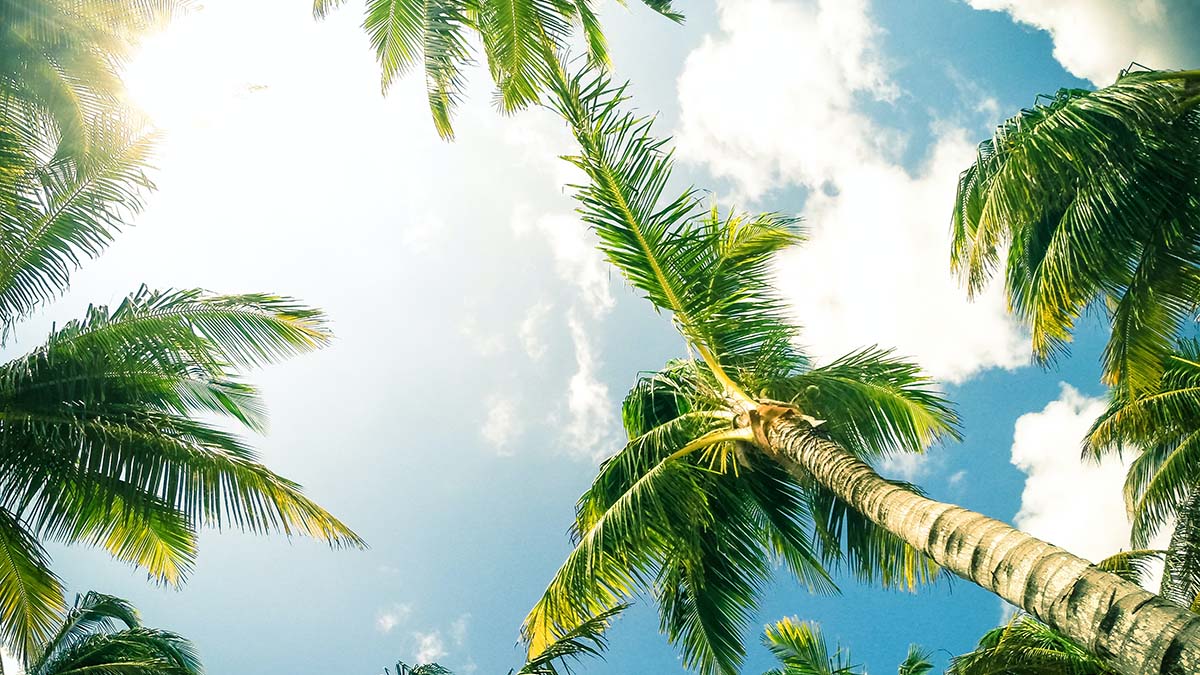 Caribbean Impact Partners | Improving Lives Throughout the Caribbean Basin